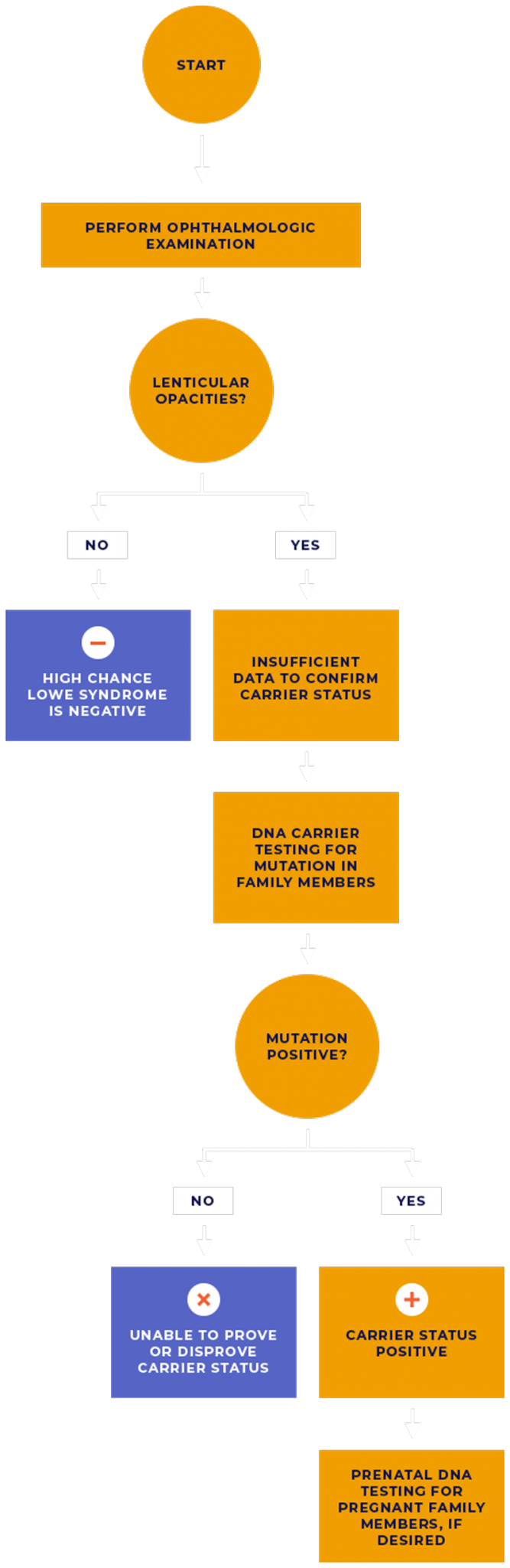 lsa-flowchart - Lowe Syndrome Association